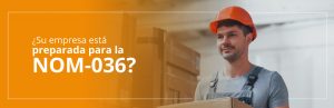 Norma Oficial Mexicana Nom 036 STPS | SDI