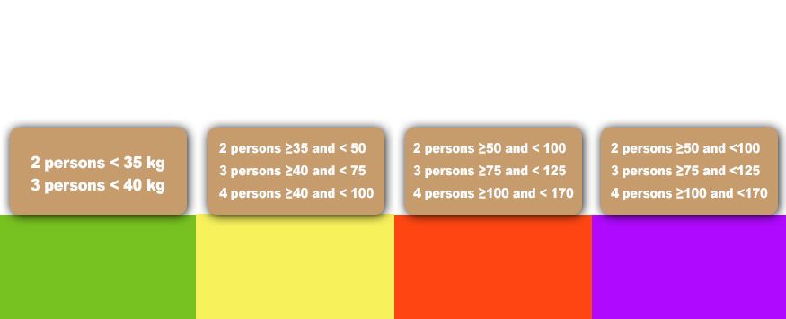 Factores de riesgo ergonómico en el manejo manual de cargas en equipo | SDI