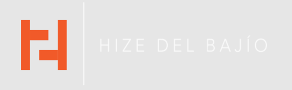 HIZE DEL BAJIO SA DE CV | SDI